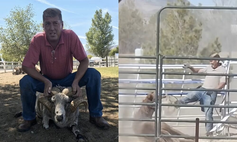 Nevada Veterinarian Dies By Suicide After Video Goes Viral Showing Him ...